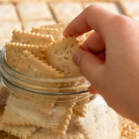 Easy Homemade Sourdough Discard Rosemary Crackers - Sage Cozy Nook